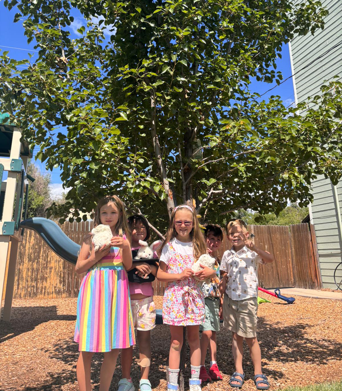 Wee School Preschool of Erie, Colorado
